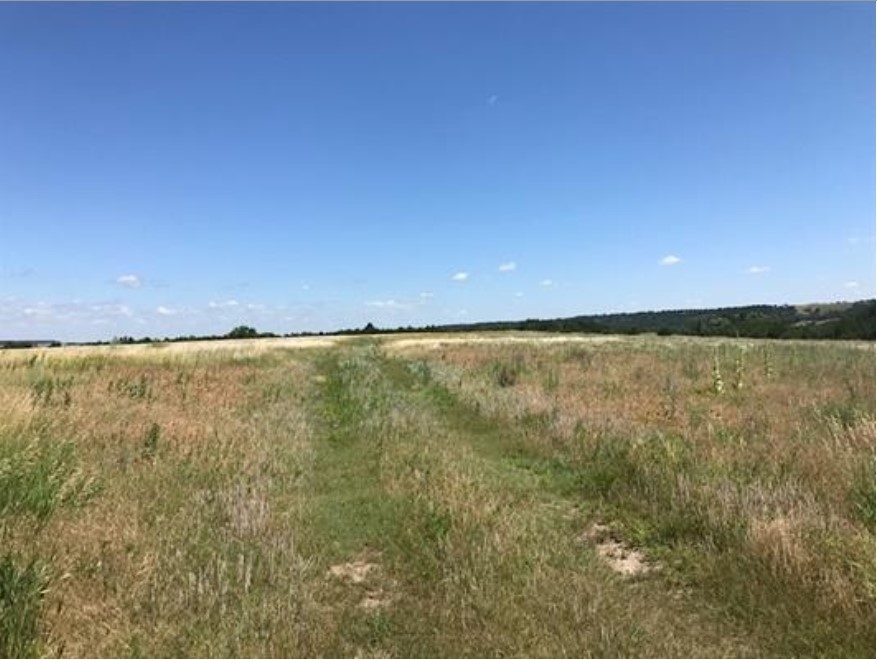 Recreational Acreages - Stracke Land & Realty
